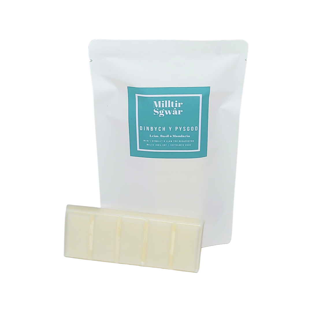 Dinbych y Pysgod | Tenby – Milltir Sgwâr